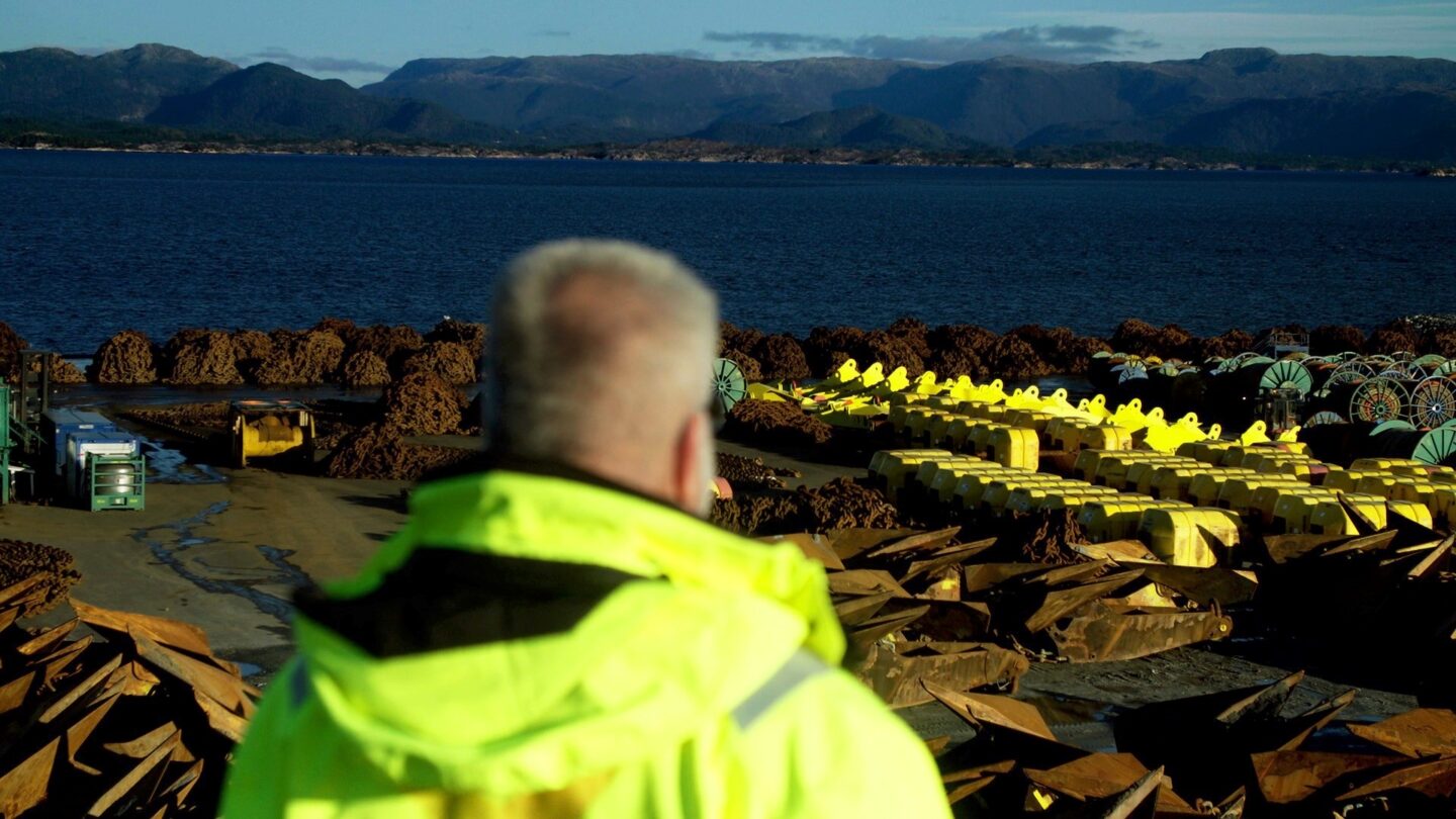 SCARABEO-7, OFFSHORE INDONESIA - Delmar Systems